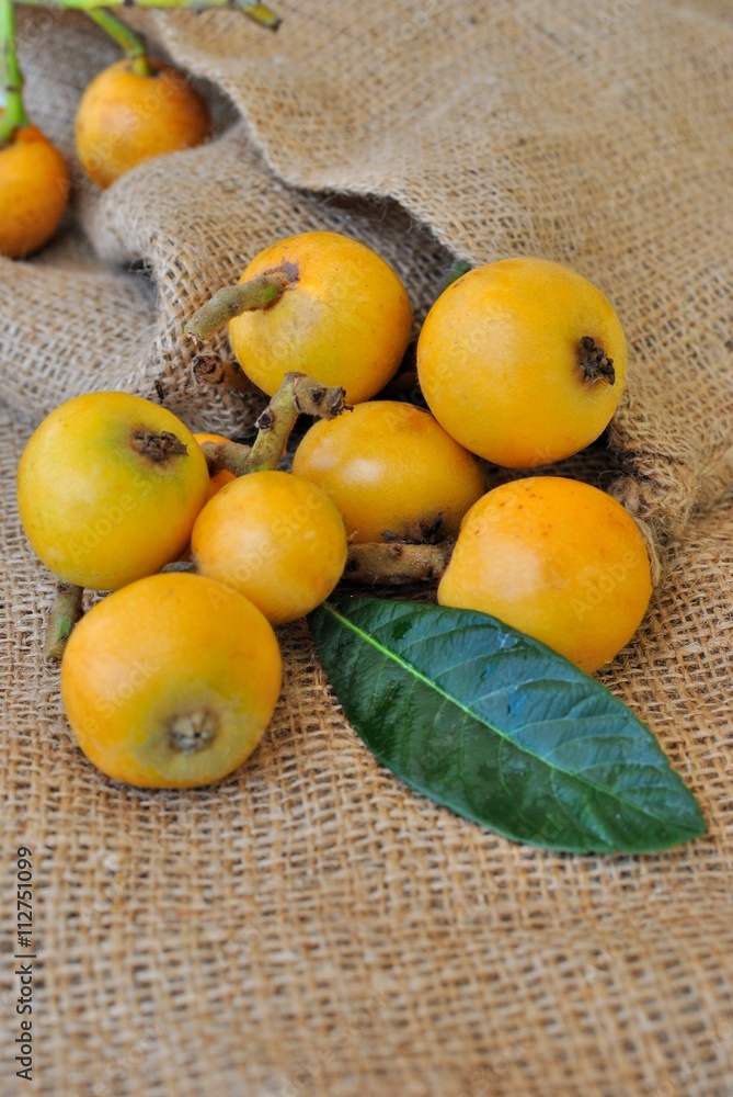 Foto Stock Nespole. Mespilus germanica | Adobe Stock
