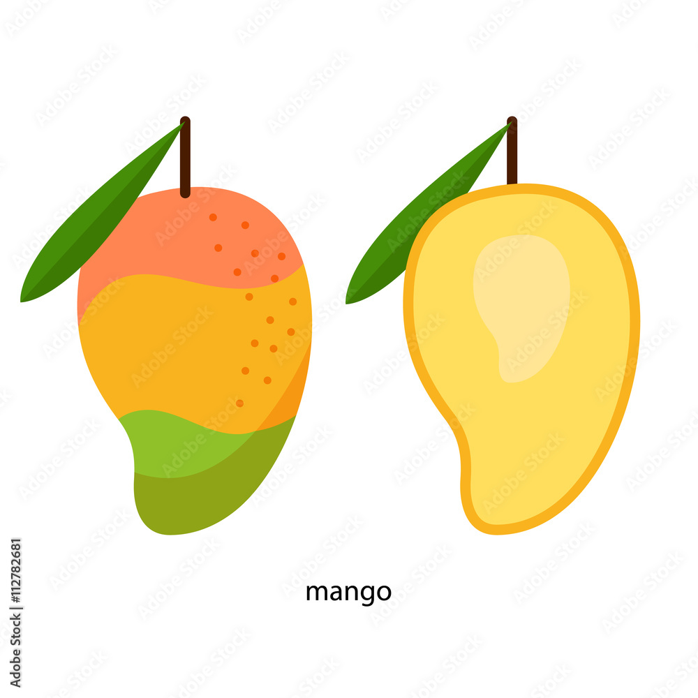 Mango fruit with green leaf and its cross-section Stock Vector | Adobe ...