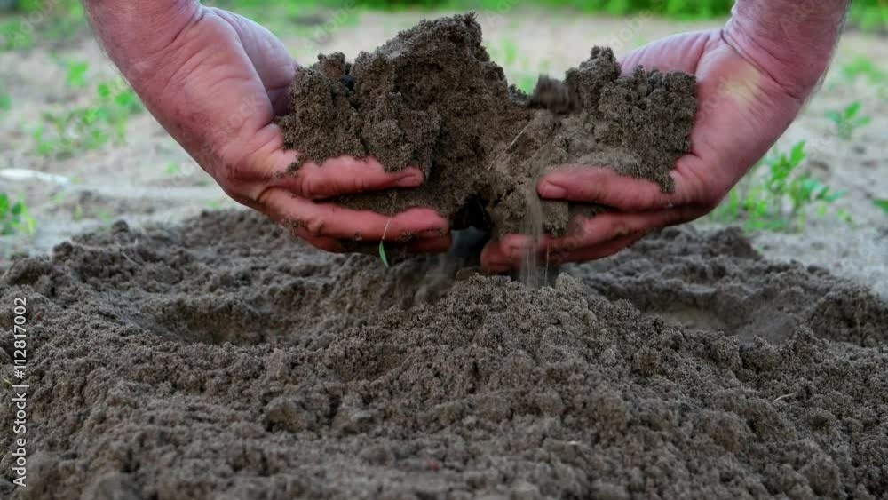farmer hands are gaining ground on the farm for the cultivation of ...