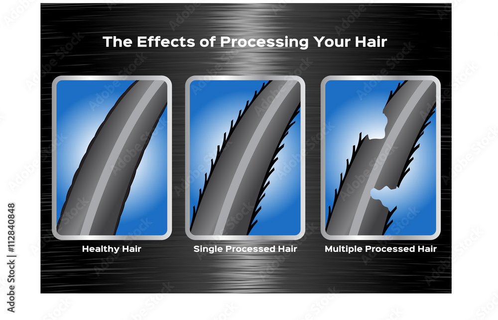 The effect of processing your hair vector , infographic , good hair ...