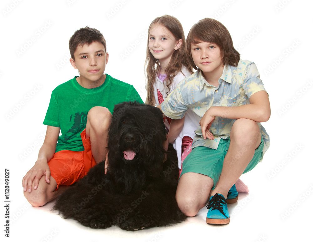 Three children playing with a big black dog-Isolated on white ...