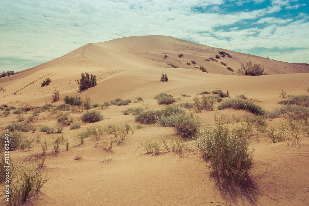 desert dunes, big dune in the desert, kazakhstan, central asia, red ...