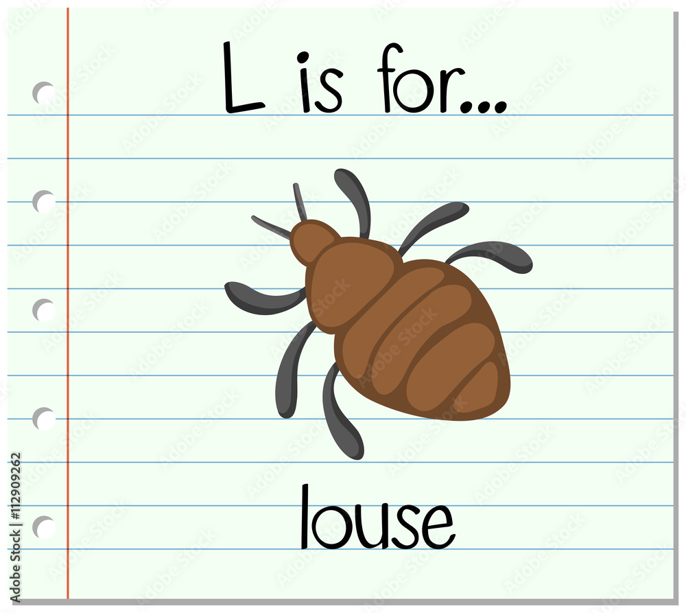 Flashcard letter L is for louse Stock Vector | Adobe Stock