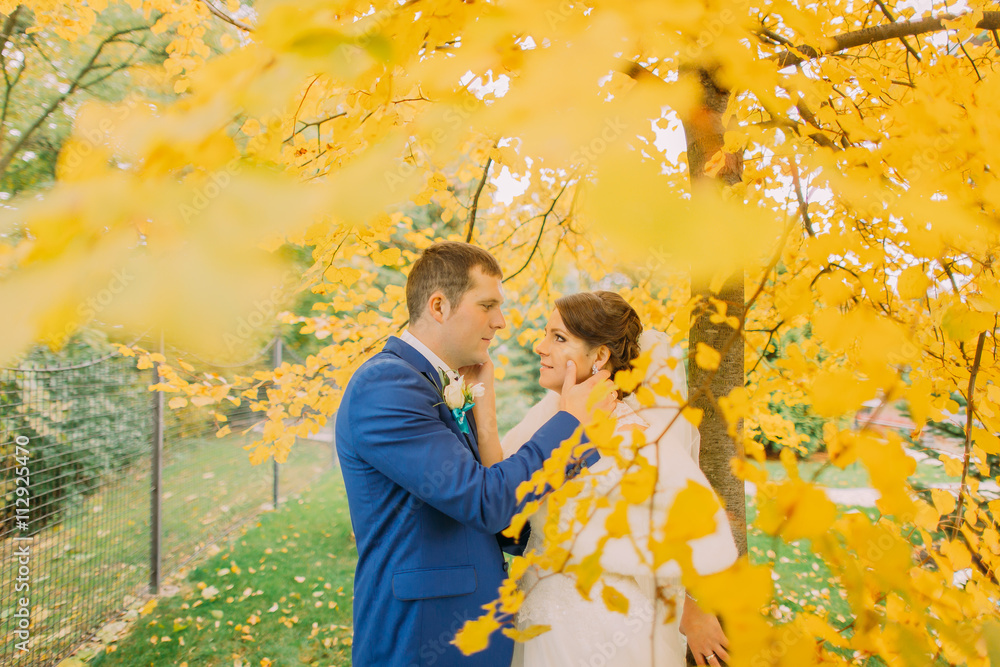 Romantic kiss of newly married couple under autumn tree with yellow ...