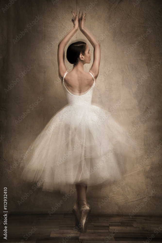 Rear view of female ballet dancer Stock Photo | Adobe Stock