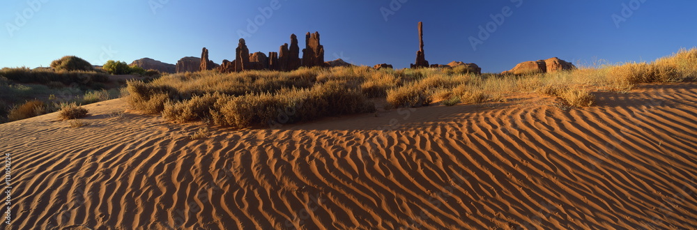 Totem Pole and Sand Springs, Monument Valley Tribal Park, Arizona Stock ...