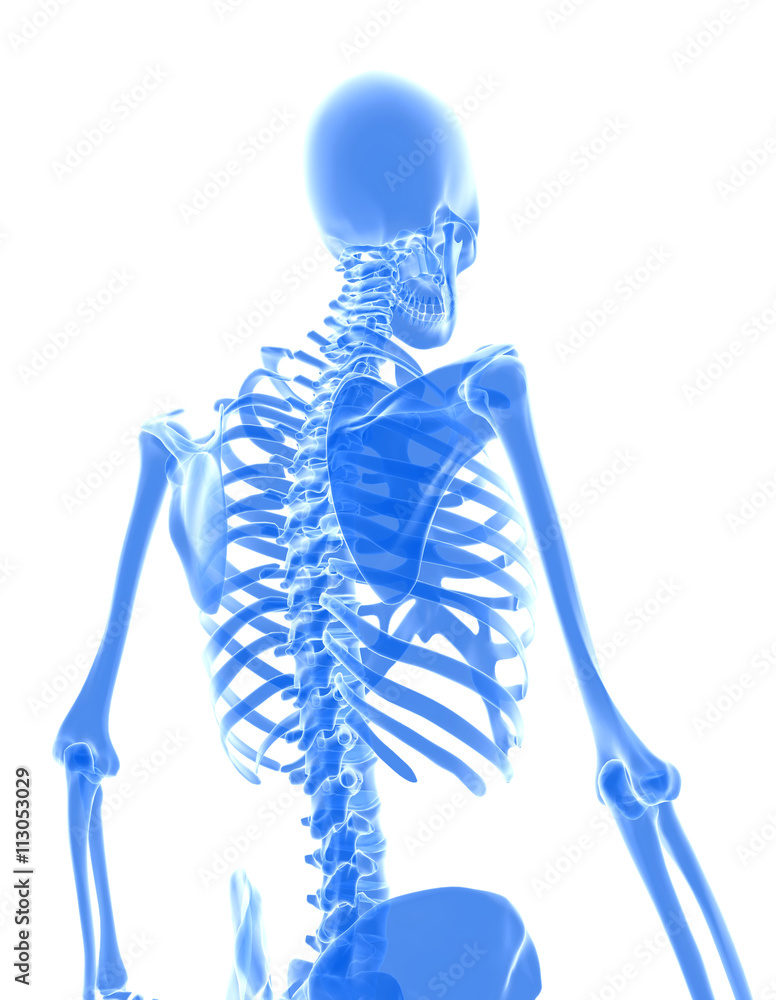 3D illustration of shiny blue skeleton system. Stock Illustration ...