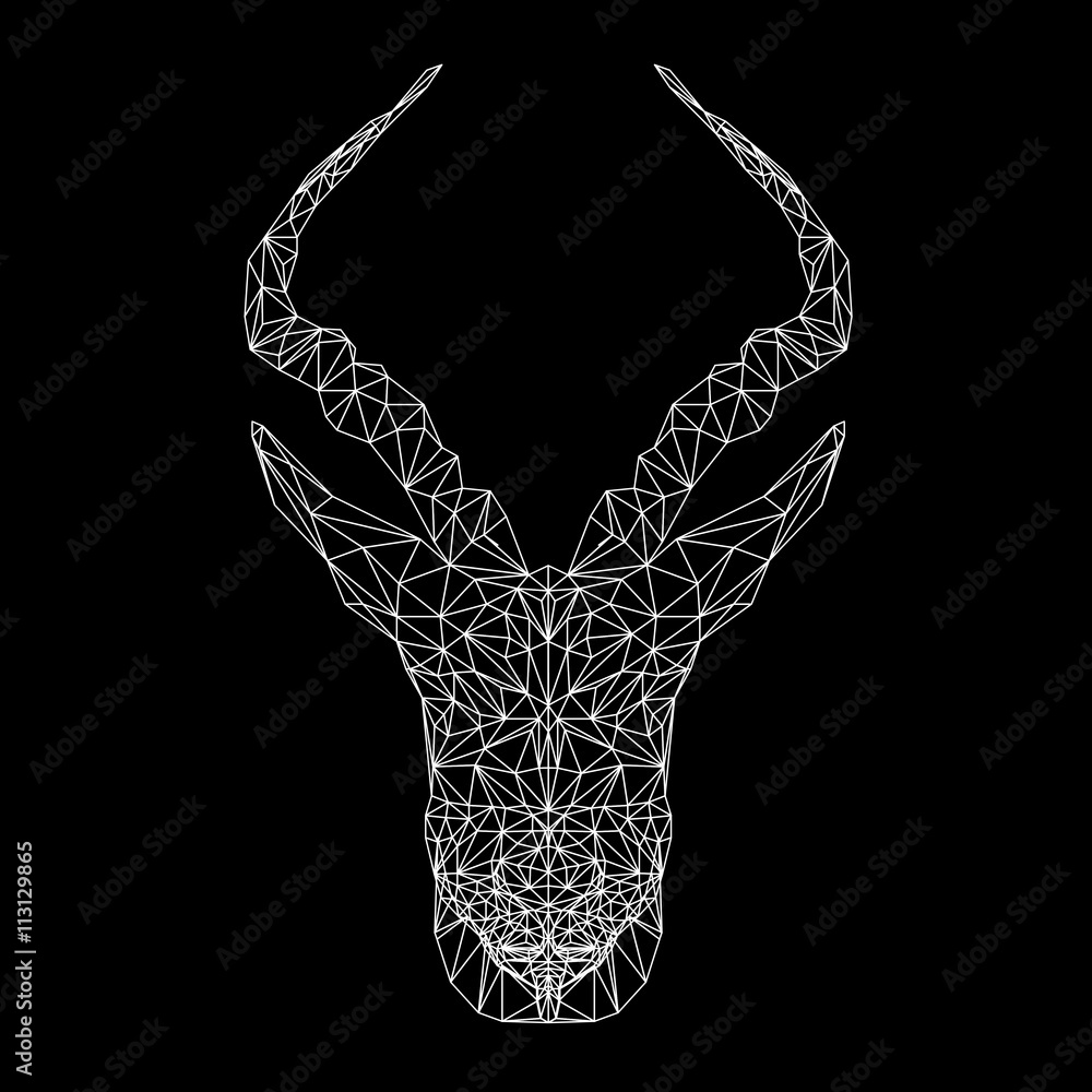 Vector gazelle thin line style. Springbok low poly design illustration ...