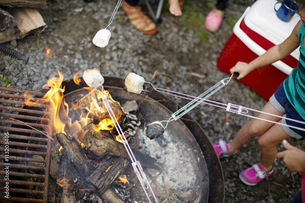 Kids Roasting Marshmallows