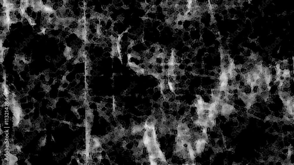 Motion Design Elements, Paint Transition Wipe: Transition element alpha ...