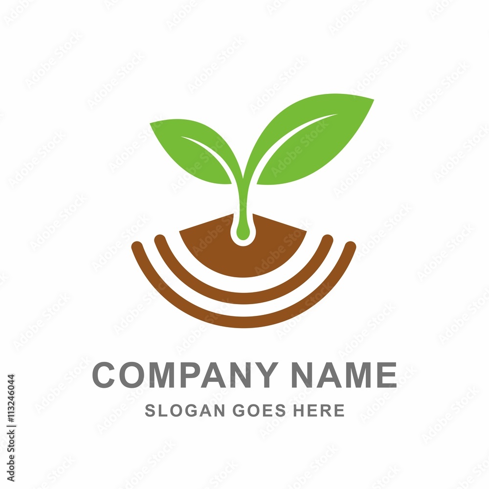 Seed Sprout Vector