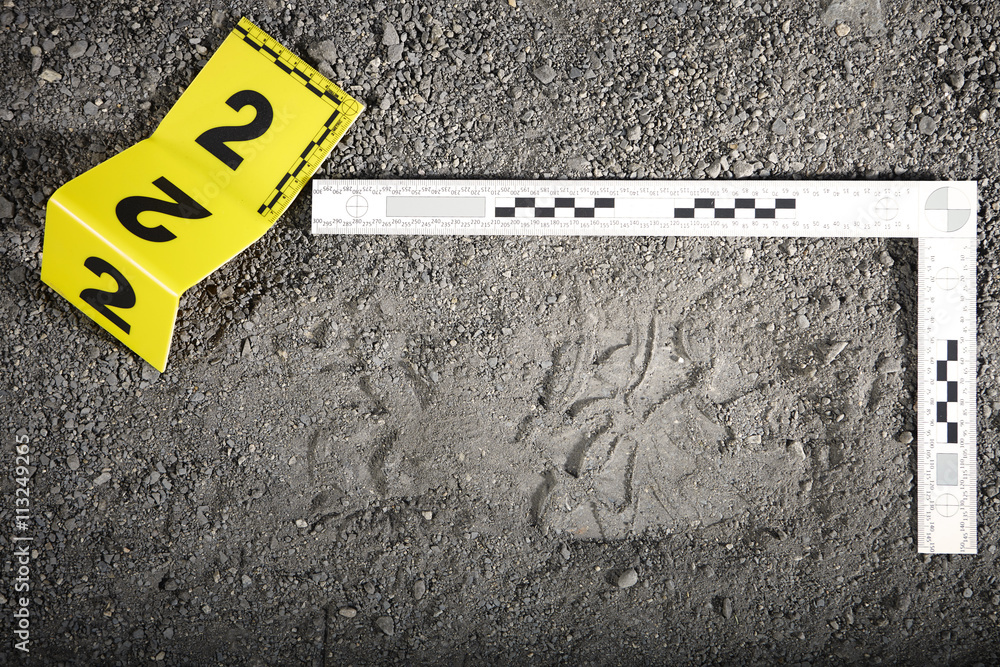 Footprint of criminal Stock Photo | Adobe Stock