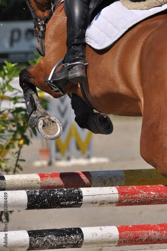 Foto de Im Detail, das Pferd im Sprung über die Hürde, von seitlich ...