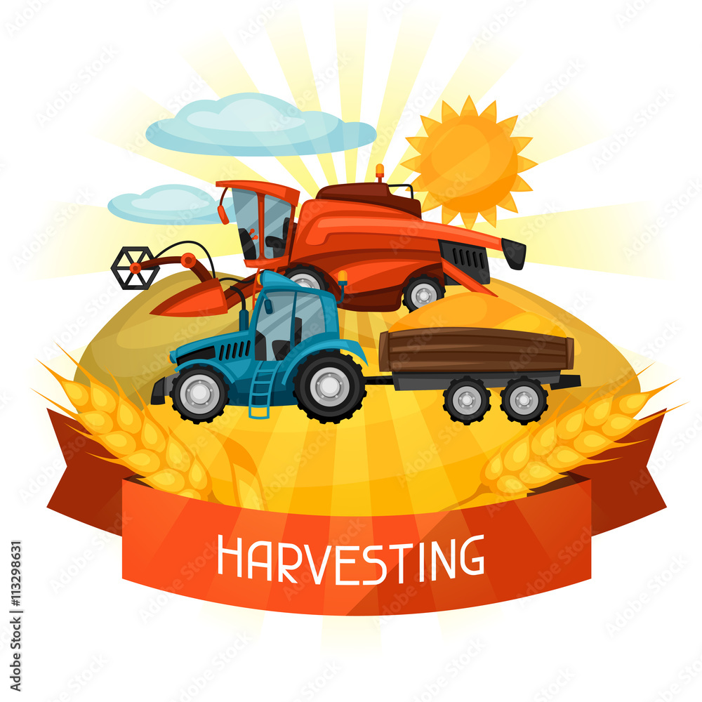 Combine harvester and tractor on wheat field. Agricultural illustration ...
