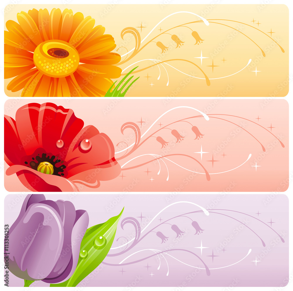 Summer flowers banner set with natural background. Gerbera daisy, red ...
