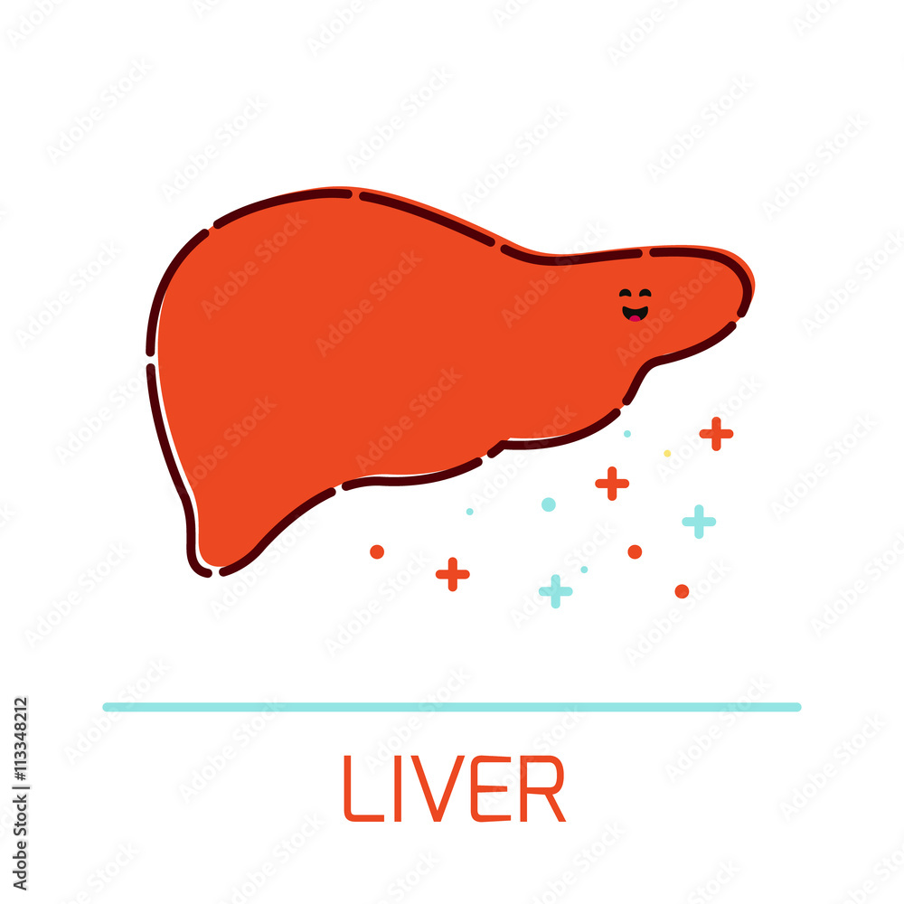 Cute healthy liver icon made in cartoon style. Liver cartoon character ...