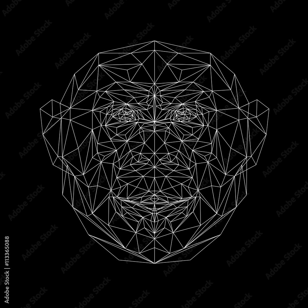 Vector portrait of monkey thin line style. Triangle illustration monkey ...