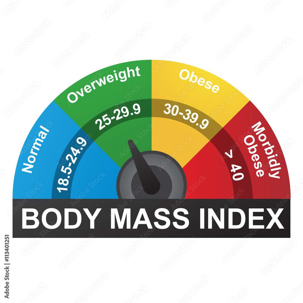 BMI or Body Mass Index Infographic Chart Stock Vector | Adobe Stock