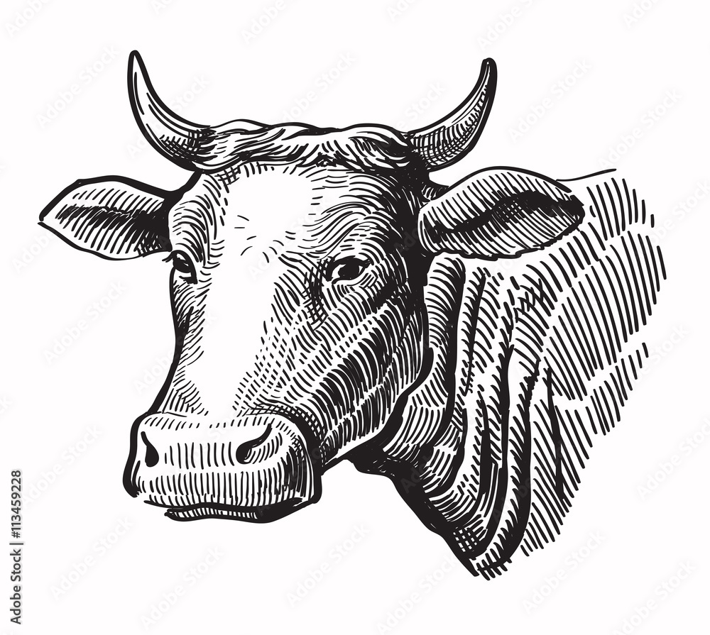 vector black cow Stock Vector | Adobe Stock