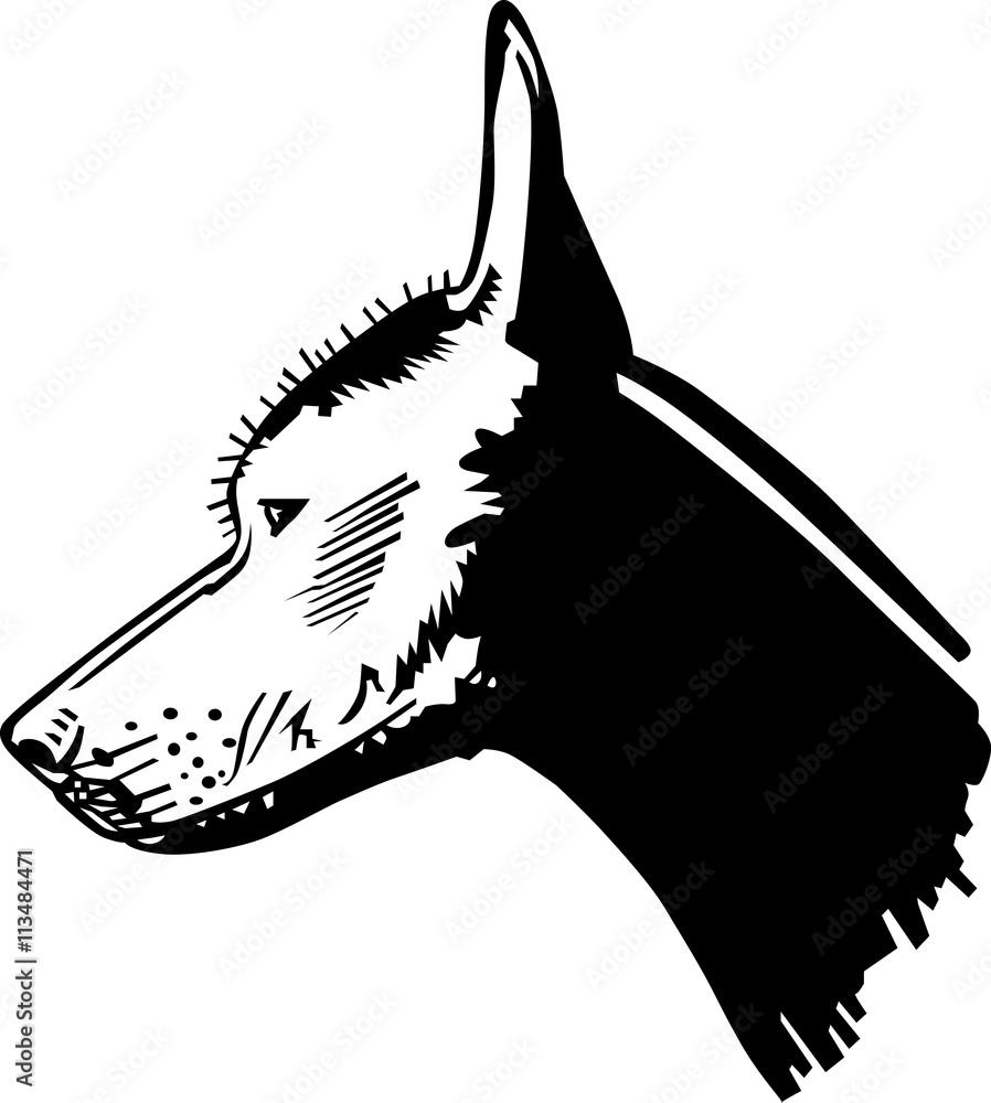 xoloitzcuintle profile Stock Vector | Adobe Stock