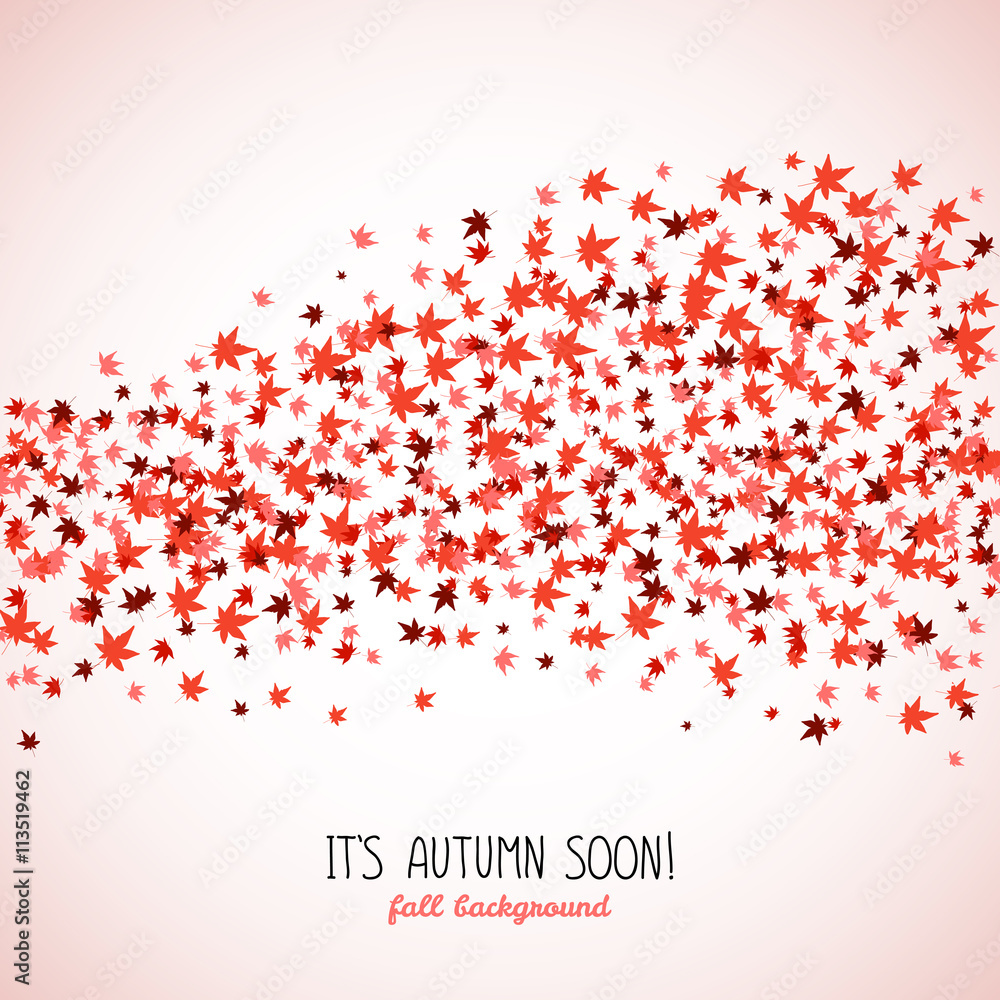 Wavy band made from red maple leaves. Fall is coming. Copy space ...