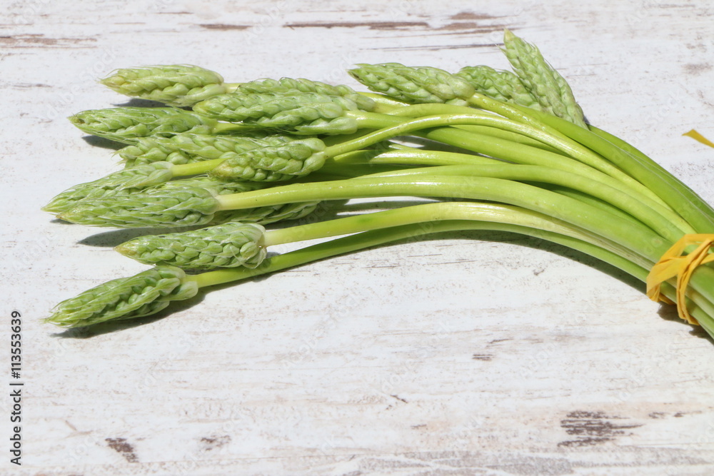 Ein Bund wilder Spargel, grüner wilder Spargel gebündelt Stock Photo ...