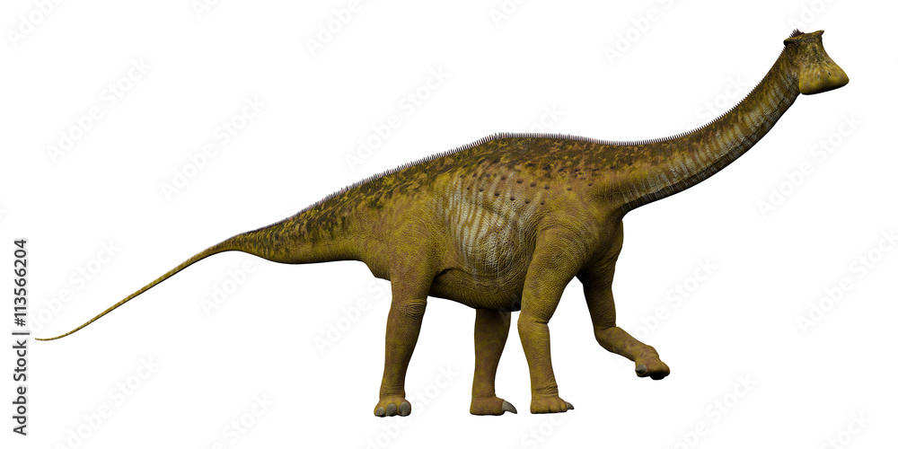Nigersaurus Side Profile - Nigersaurus was a sauropod herbivorous ...