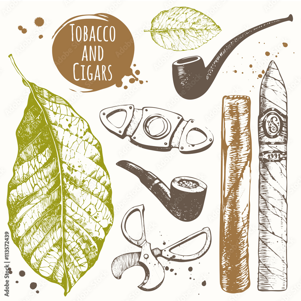Smoking set. Tobacco and cigars in sketch style. Stock Vector | Adobe Stock
