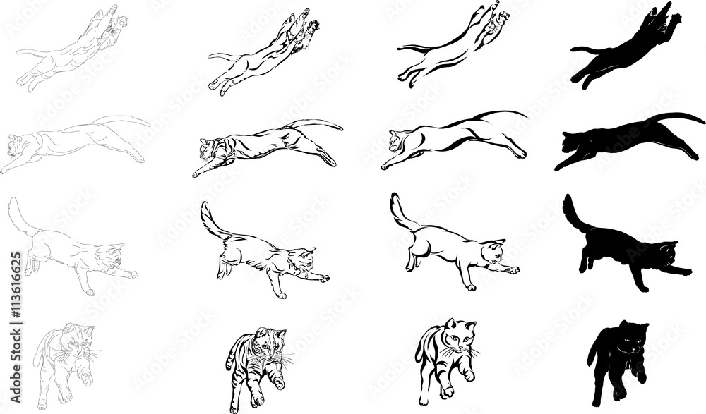 Cat Jumping Drawing