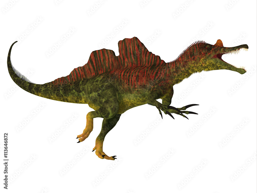 Ichthyovenator Dinosaur Body - Ichthyovenator was a theropod spinosaur ...