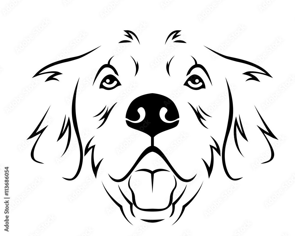 Golden Retriever Line Drawing