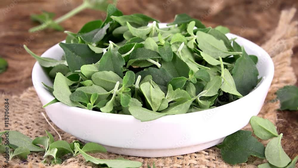 Portion of rotating Menthol leaves (not loopable) as 4K UHD footage ...