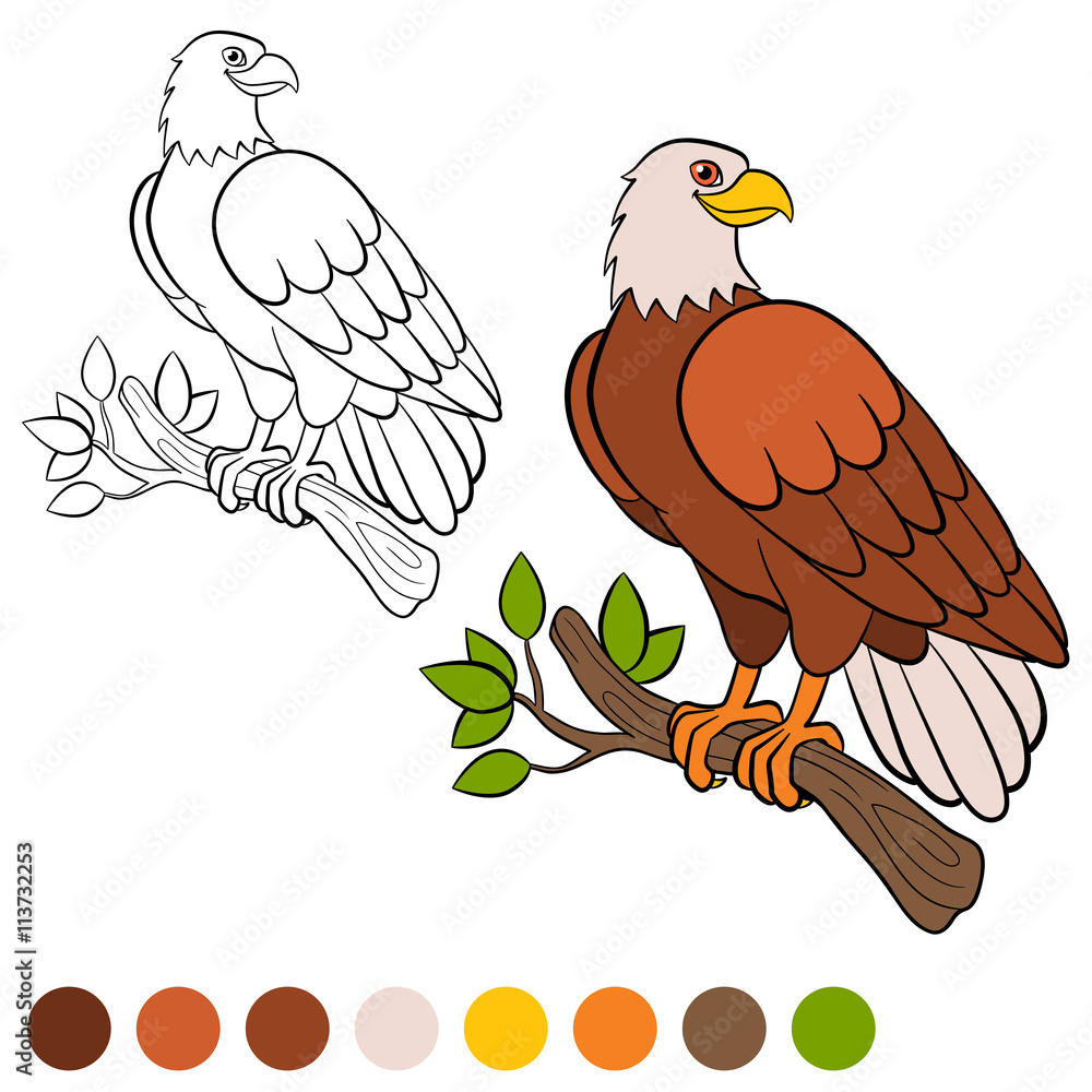 Coloring page. Color me: eagle. Cute eagle sits and smiles. Stock ...