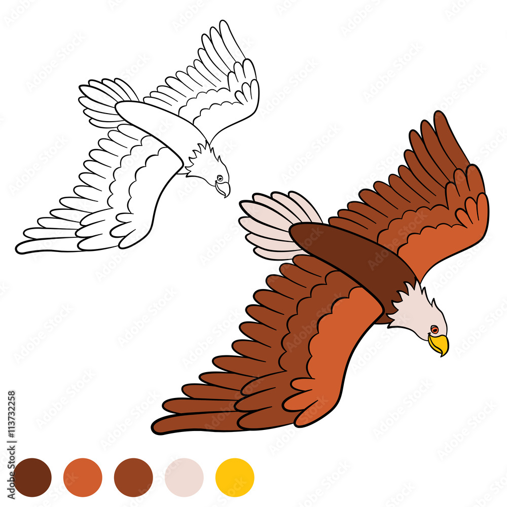 Coloring page. Color me: eagle. Cute bald eagle flying. Stock Vector ...