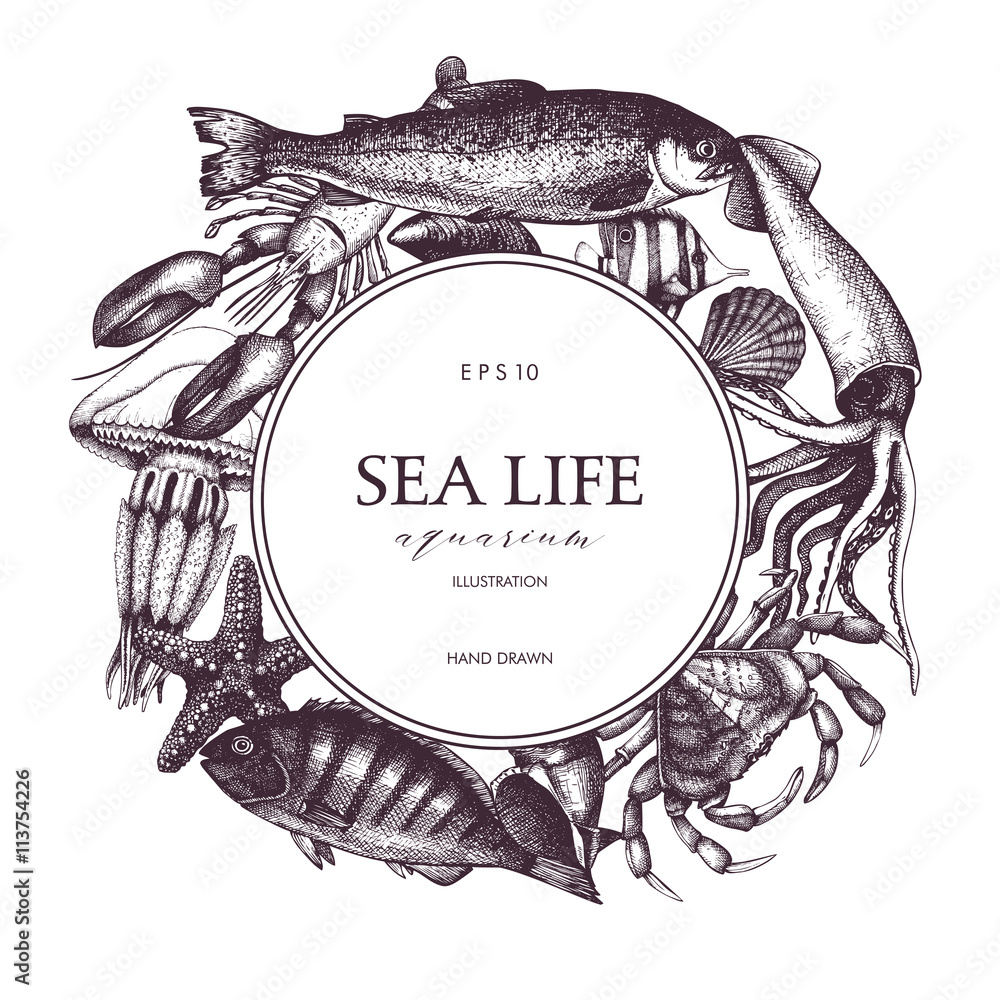 Vetor de Vector Sea life design. Mussels, fish, crab, starfish, squid ...
