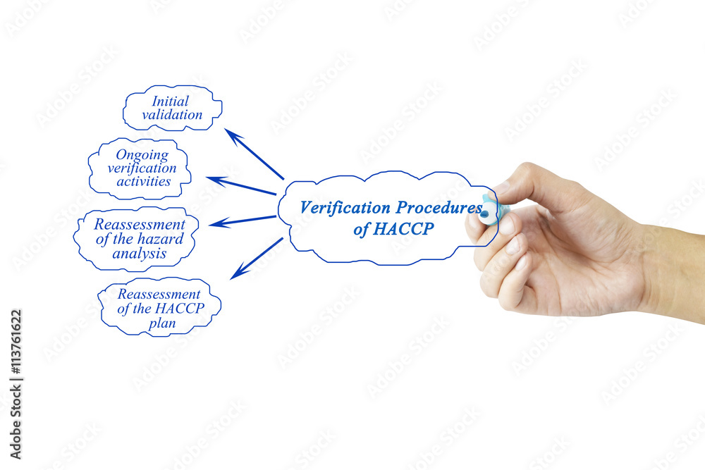 Women hand writing element of Verification Procedures of HACCP for ...