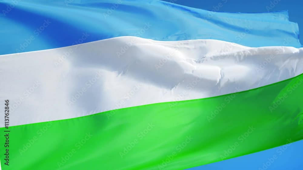 Molossia flag waving in slow motion against clean blue sky, seamlessly ...