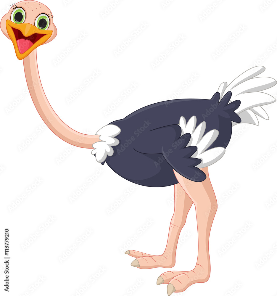 cute ostrich cartoon Stock Vector | Adobe Stock