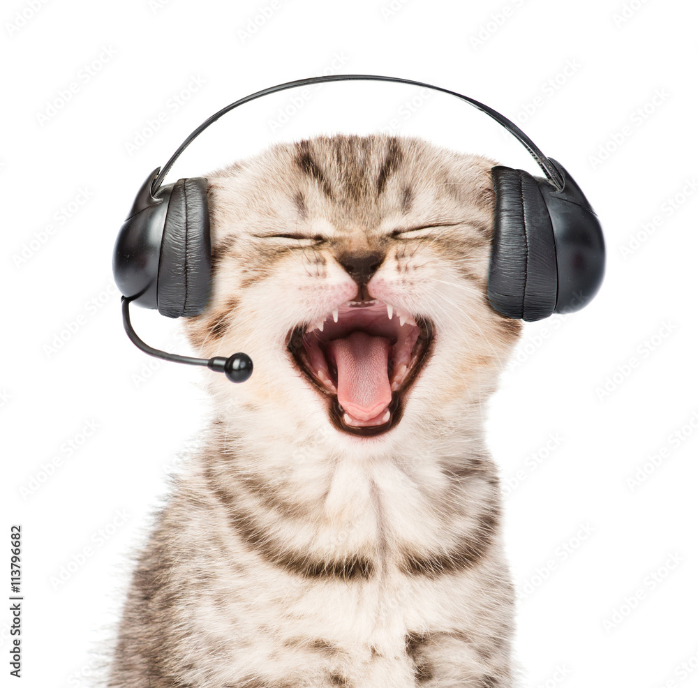 mewing kitten with phone headset. isolated on white background Stock ...