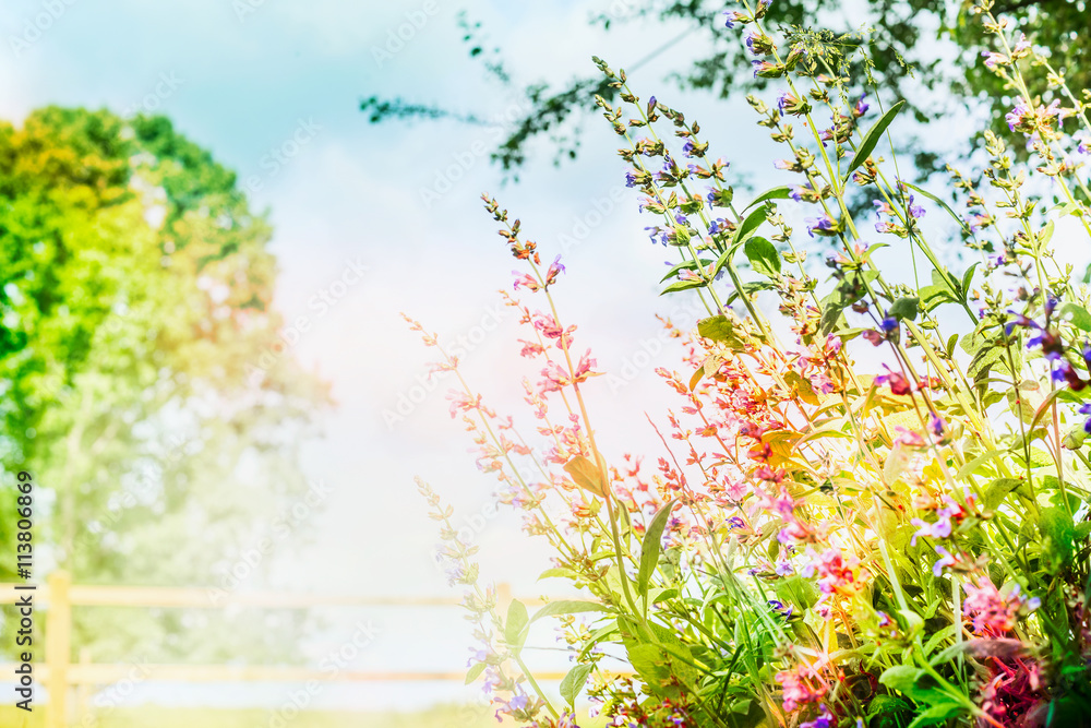 Summer Outdoor Backgrounds