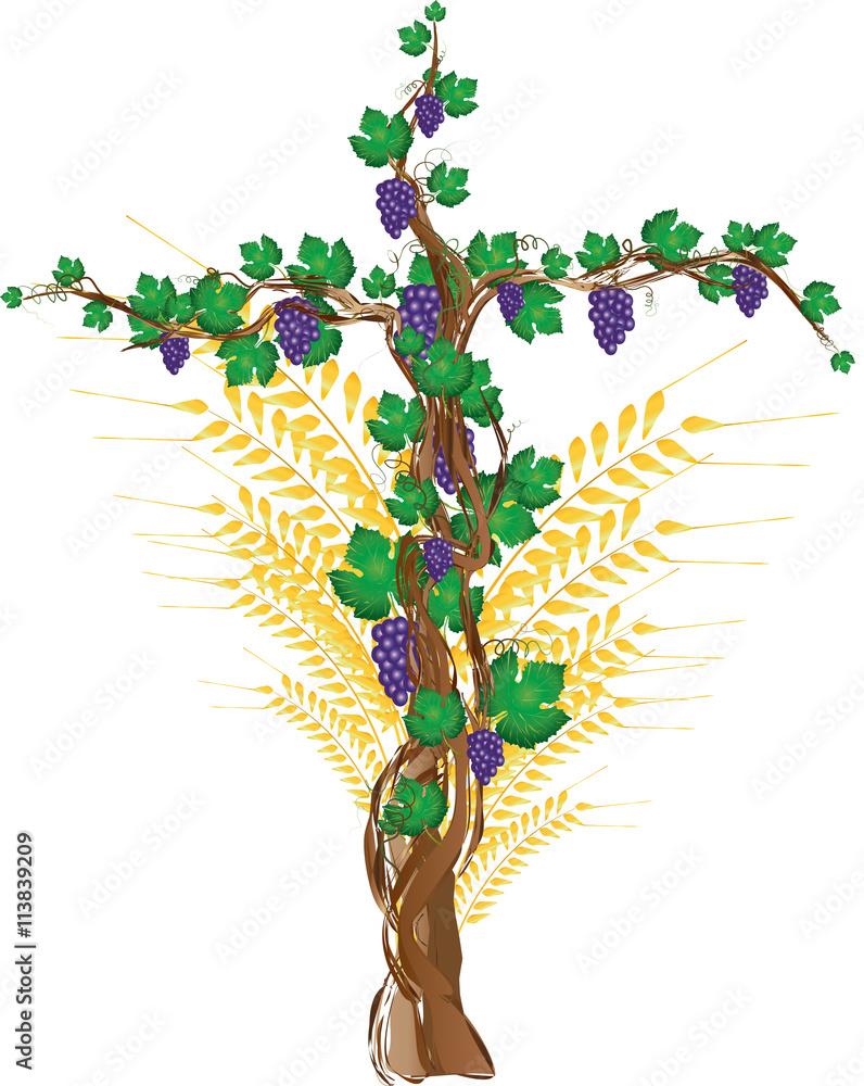 Floral cross with grapevine, grape clusters on a vine tree and wheat ...