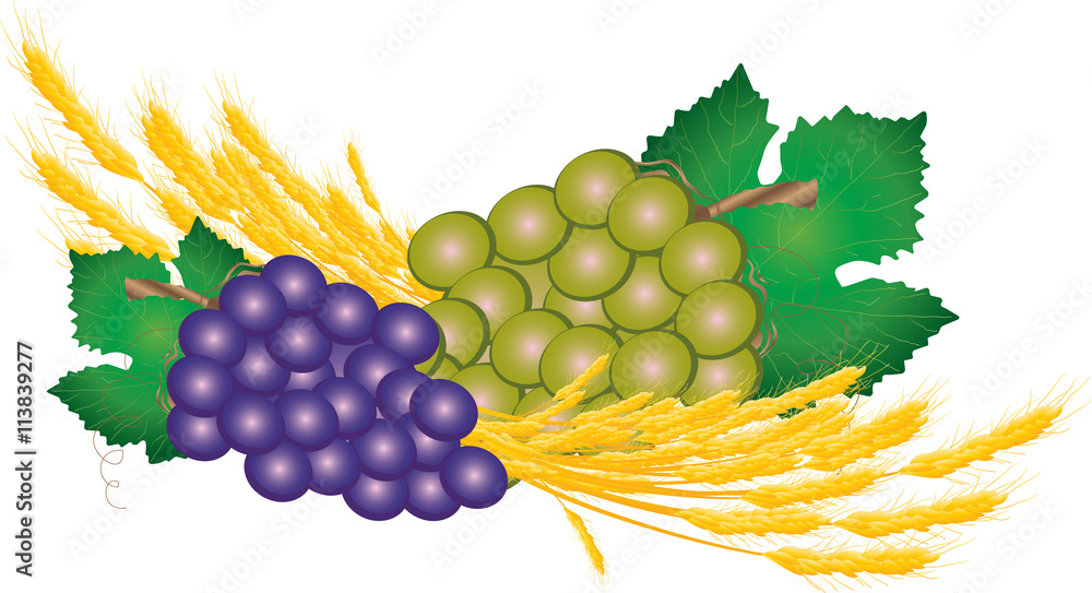 Eucharist symbols of bread and wine, wheat ears and grapes vine. FIrst ...