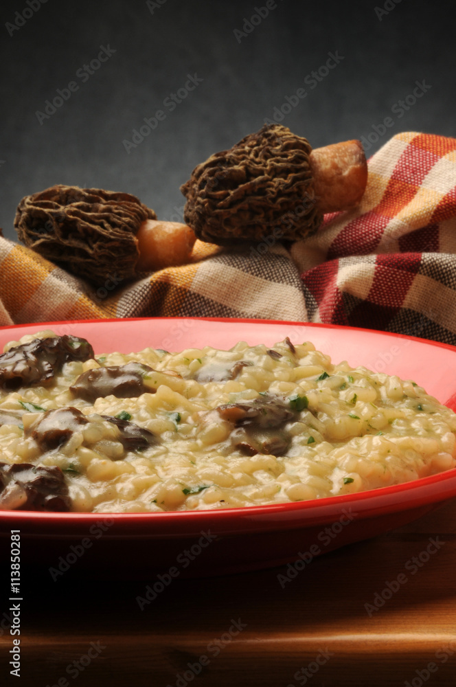 غوشنة Smrž Spugnole גמצוץ Morkel Cagarrias Morchelle Spugnola Morel ...