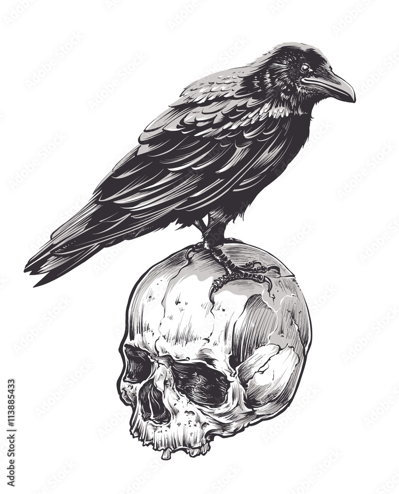 Crow on Skull Stock Vector | Adobe Stock