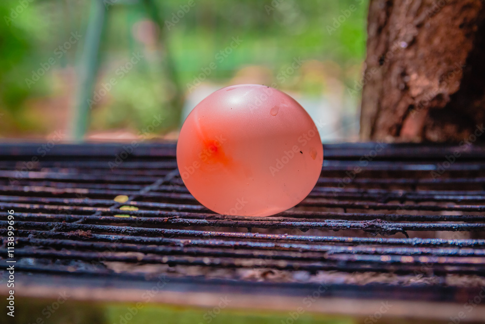 Balloon filled with water placed on a hot grill. An experiment that ...