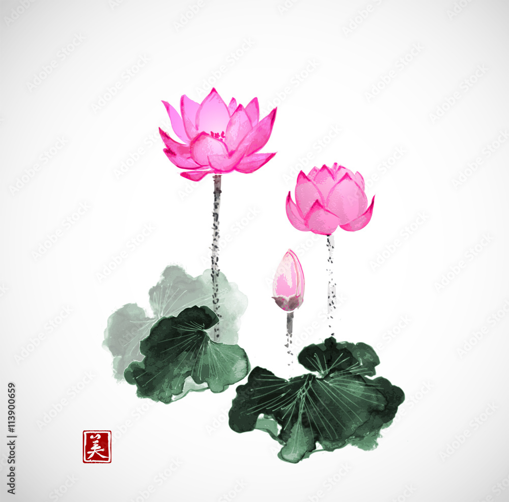 Pink lotus flowers hand drawn with ink. Traditional Japanese ink ...