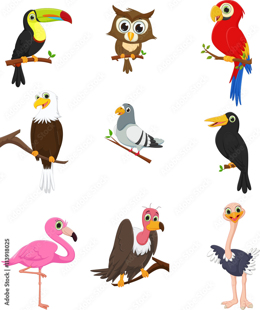 Bird cartoon collection Stock Vector | Adobe Stock