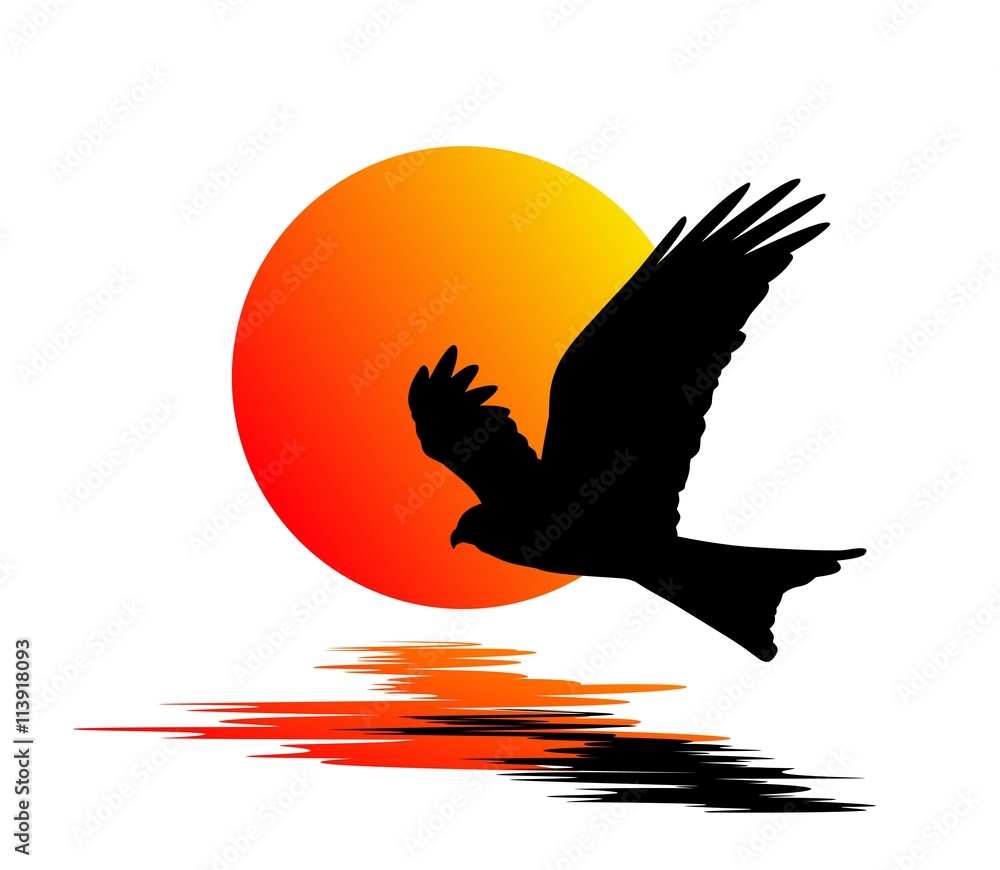Logo of bird with sun. Stock Illustration | Adobe Stock