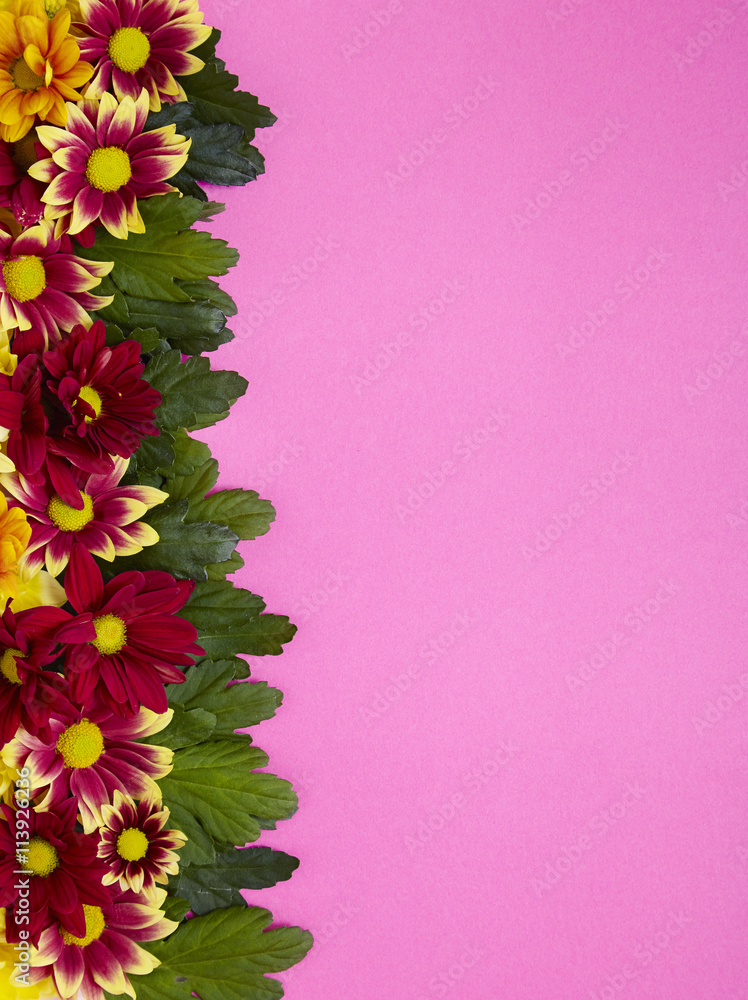 Floral border - Red, yellow and orange flowers and leaves arranged on a ...