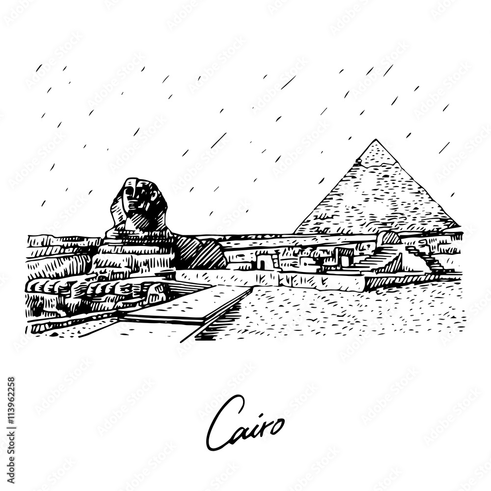 Sphinx Vector Drawing